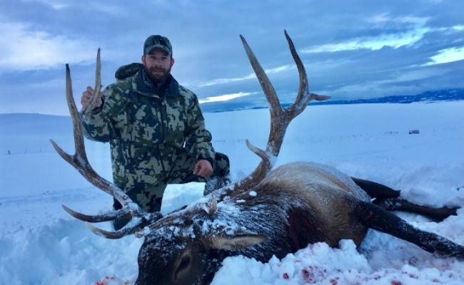 Montana Guided Elk Hunts & Big Game Hunting at Elk Ridge Outfitters